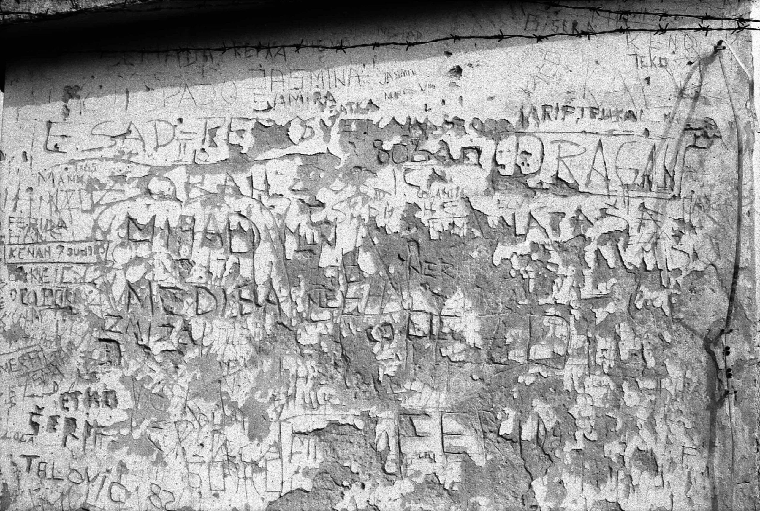 Marion Grcic-Ziersch | Kunsthandel